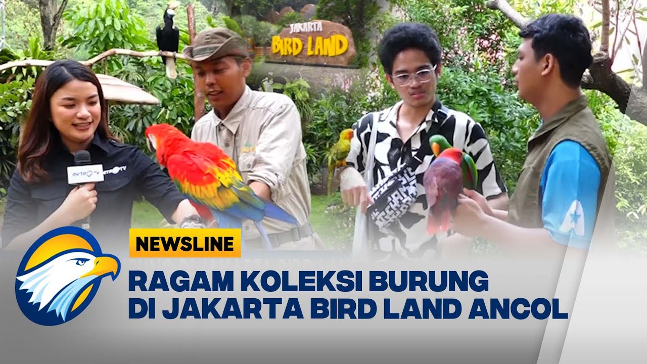 Melihat Atraksi Burung di Jakarta Bird Land Ancol - YouTube