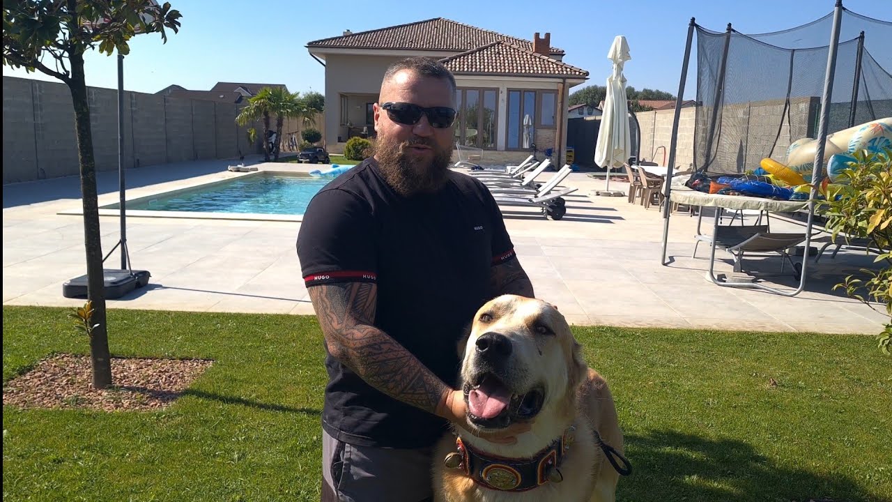 📛SHREK - Cel mai mare Volkodav din România 💯 - YouTube