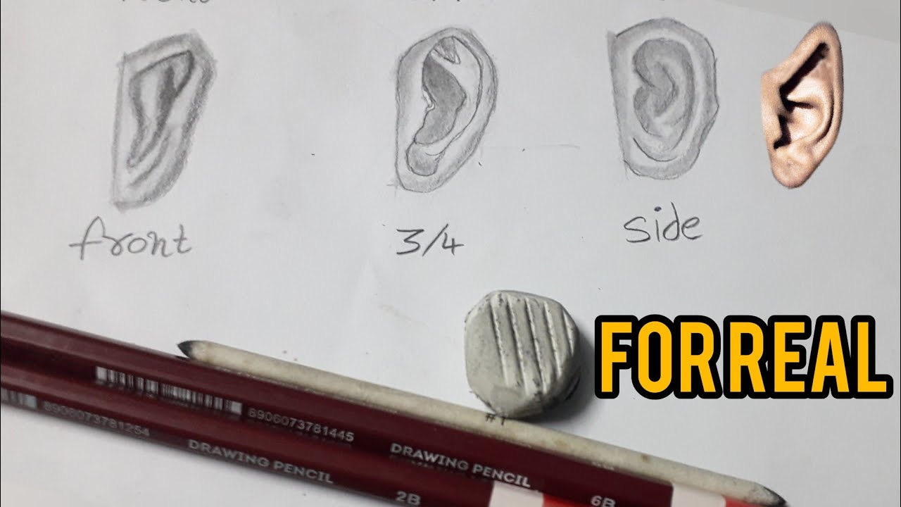How to Draw An ear for Beginners - step by step / Easy way to draw ...