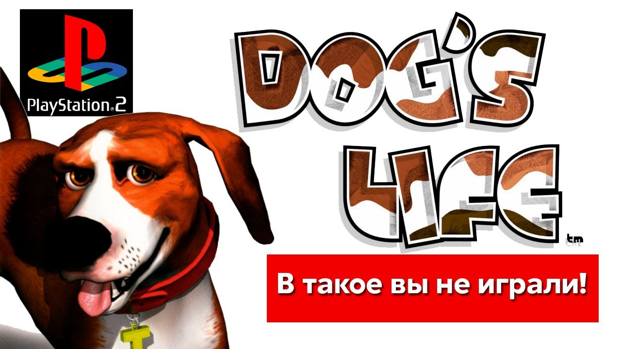 Dog's Life PS2 | Недооценённый шедевр - YouTube