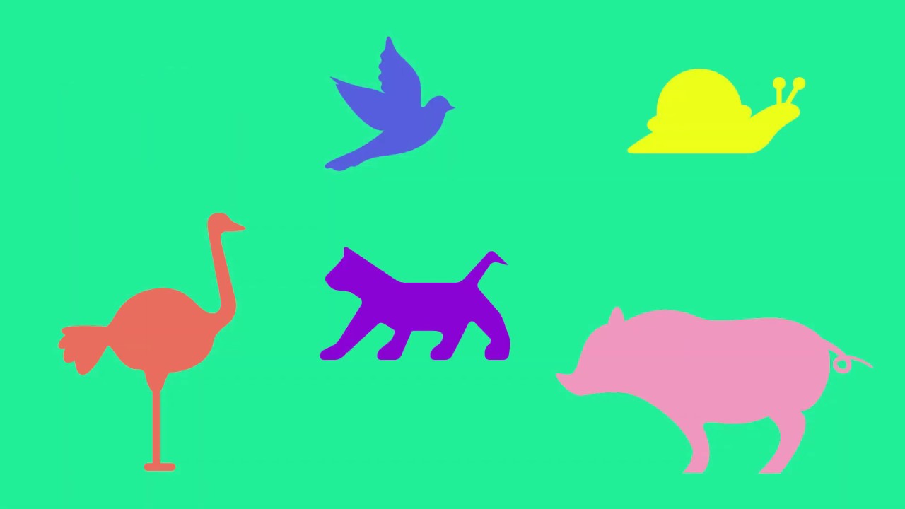 Coral Animal - Animal Choir / Chorus - YouTube