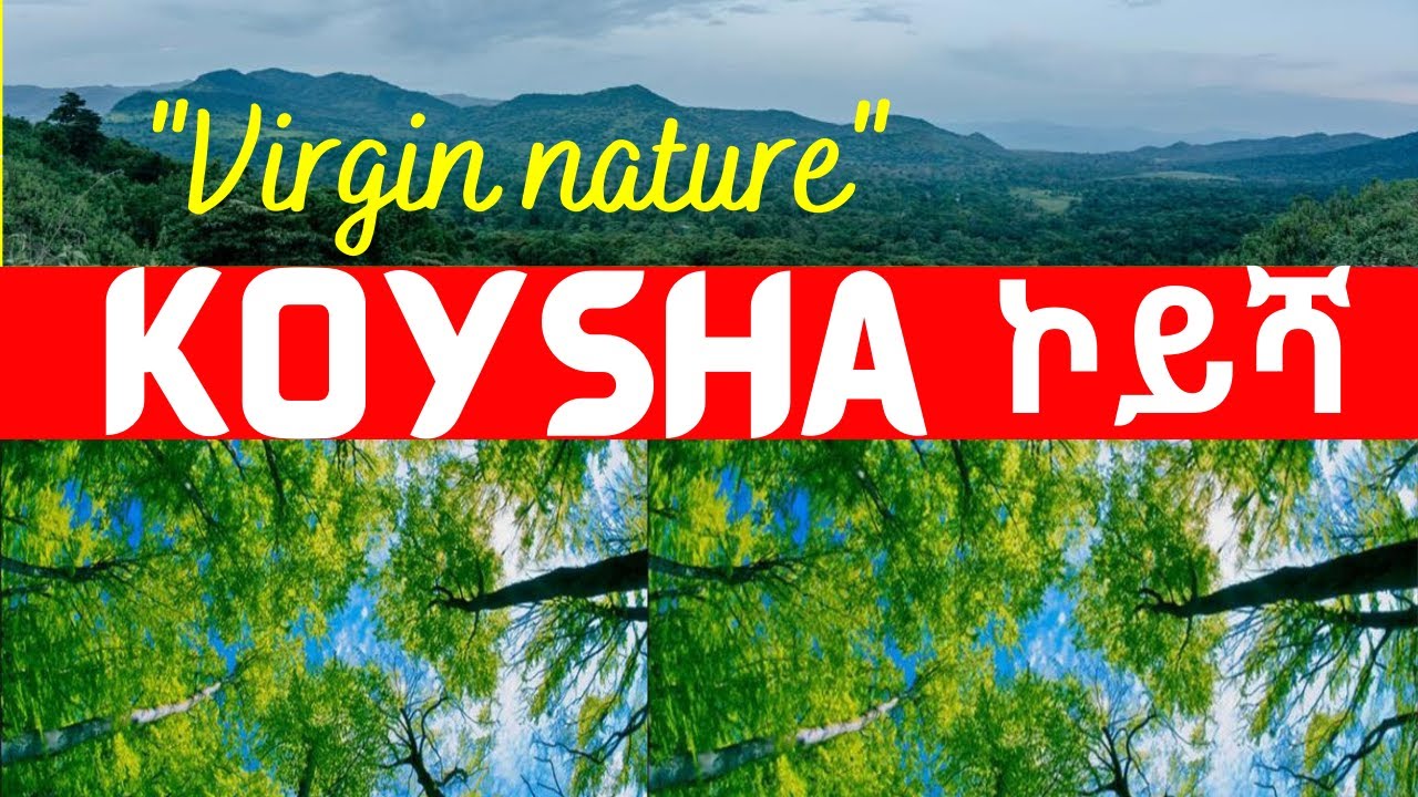 Koysha || Koysha Project Ethiopia || Koysha dam Ethiopia || ኮይሻ ...