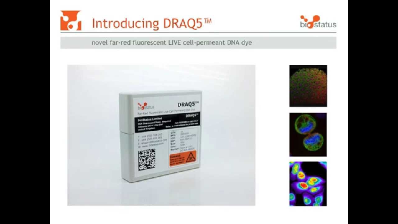 Introducing DRAQ5 - YouTube