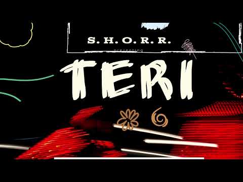 SHORR - TERI | new Hindi song