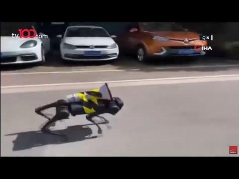 Çin'de robot köpek megafonla salgın hakkında anons yaptı!