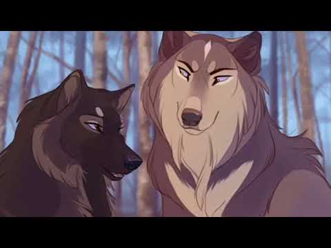 Balder Wolf Pack | 7 years | Intro | READ DESC - YouTube