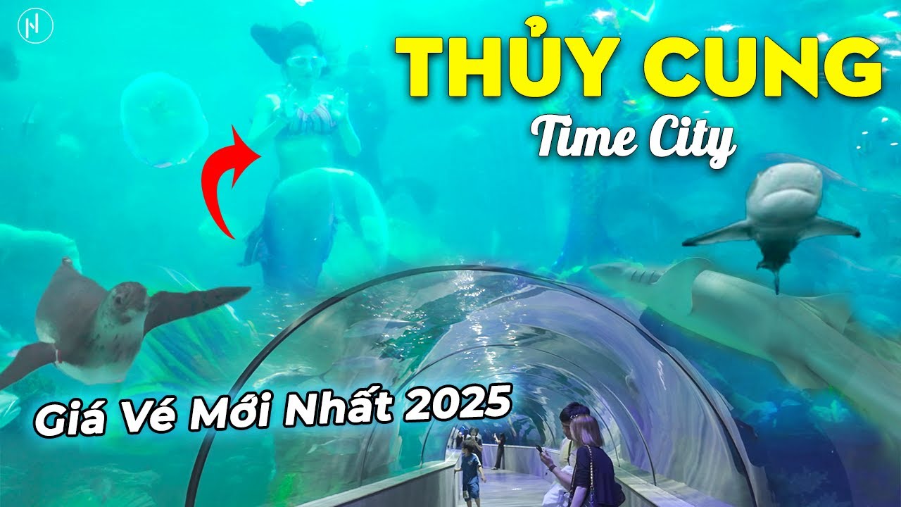 Review Khám Phá THỦY CUNG TIME CITY 2025, Quá Thích Thú Hàng Nghìn Loài ...