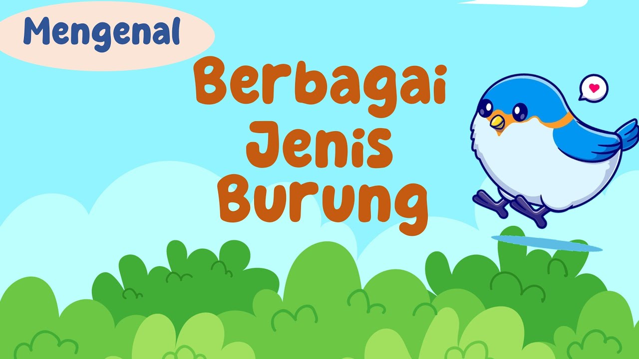 Mengenal hewan (jenis burung) untuk anak TK & BALITA I Learn animal ...