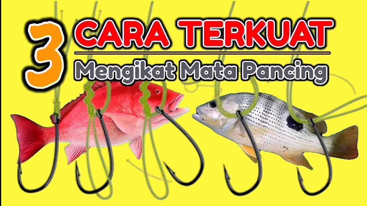 3 CARA TERKUAT Mengikat Mata Pancing - YouTube