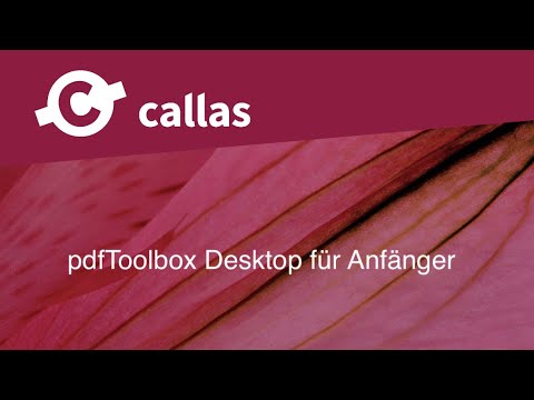 pdfToolbox Desktop für Anfänger - YouTube