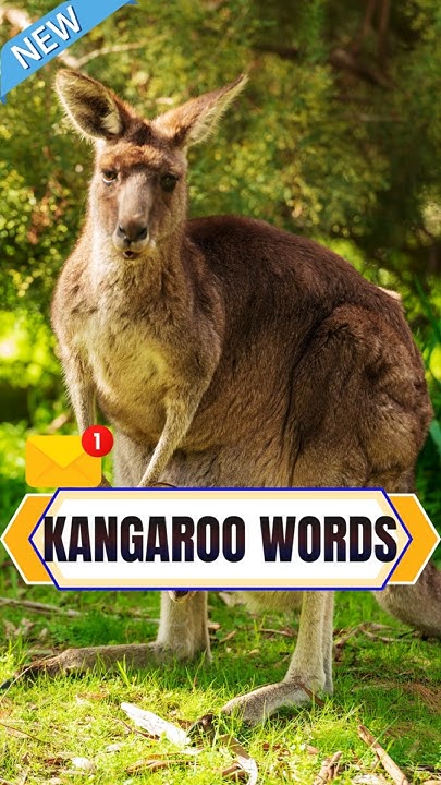 Kangaroo Words | Synonyms #learnenglish #english #englishlanguage # ...