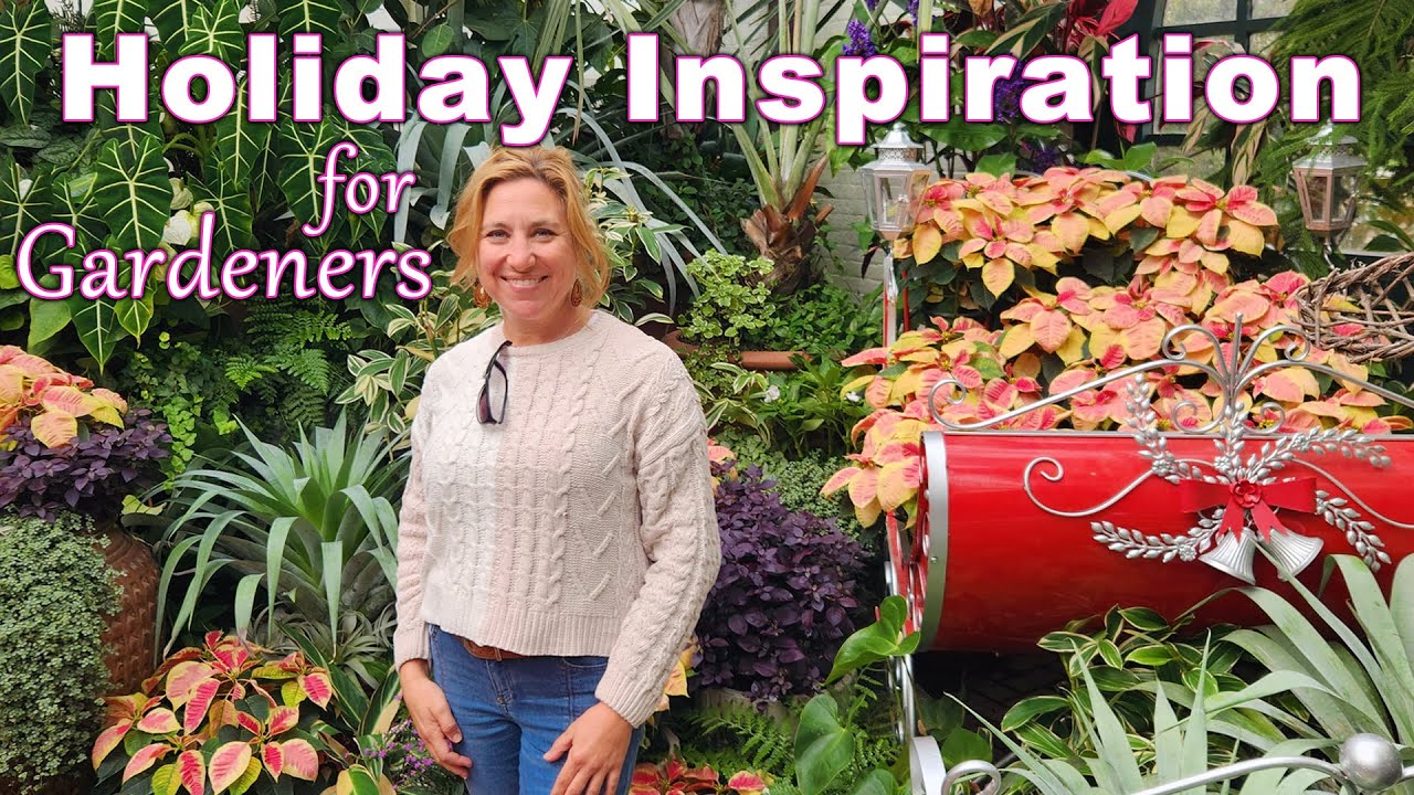 Holiday Inspiration for your Home and Garden | Winter Flowers, Plant ...