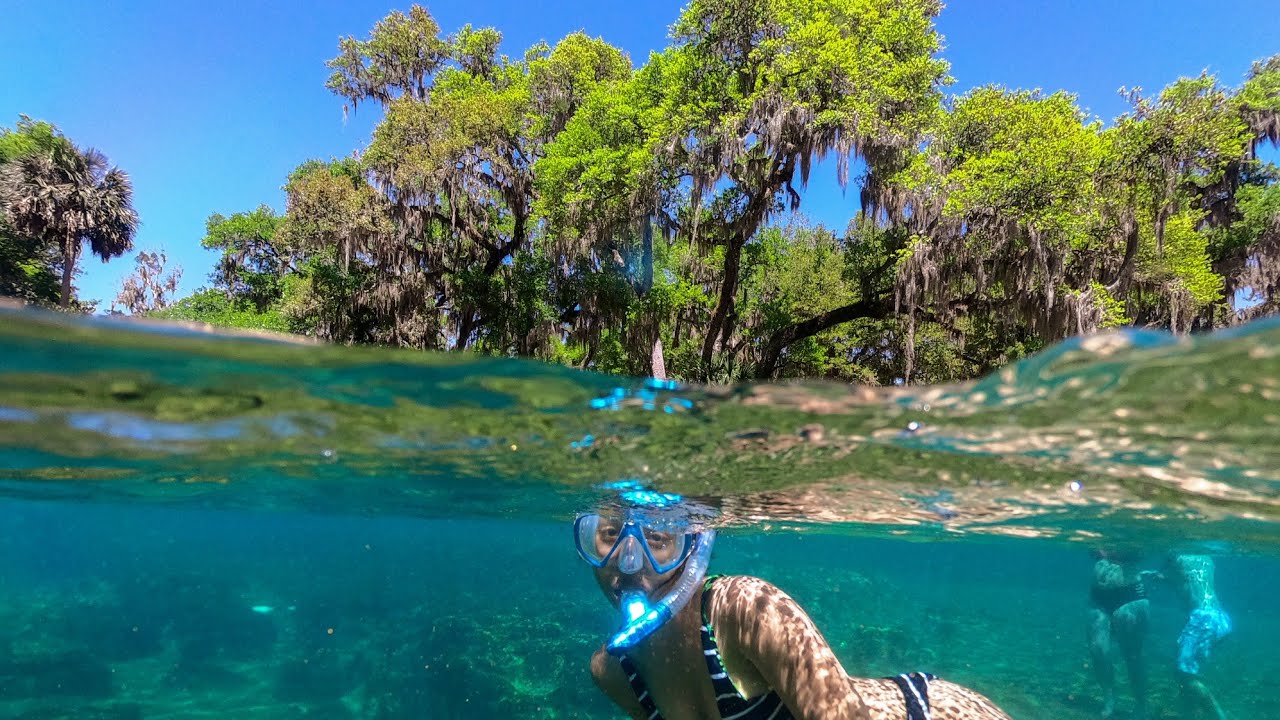 LOST PARADISE FOUND! SALT SPRINGS! #saltsprings #florida # ...