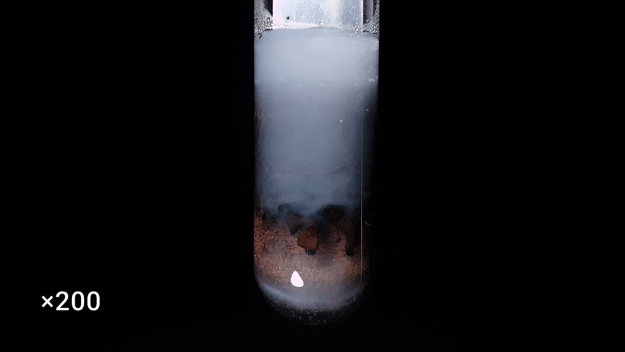 CuCl2 + Zn (copper(II) chloride + zinc) - YouTube