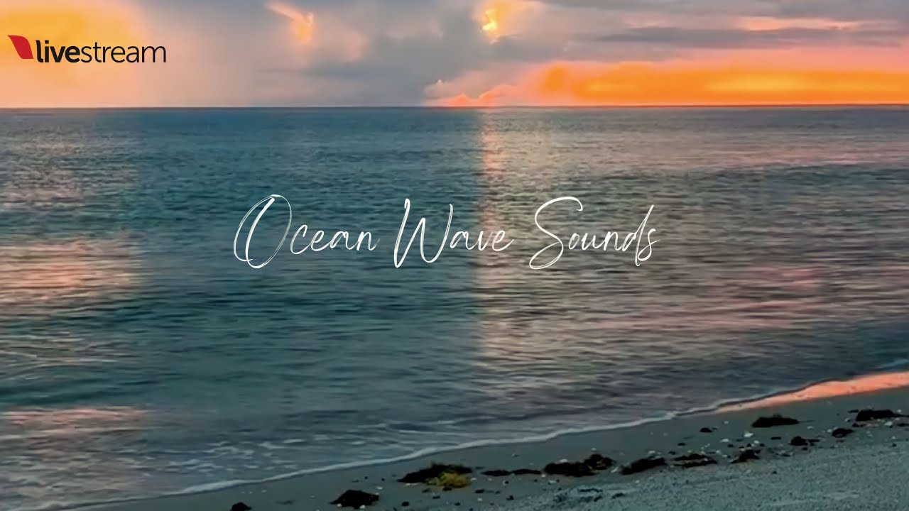 Fall Asleep With Relaxing Ocean Wave Sounds | Ocean Sounds for Deep ...