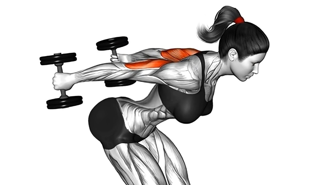 Beginner Dumbbell Workout: Total Body Firming Exercises - YouTube