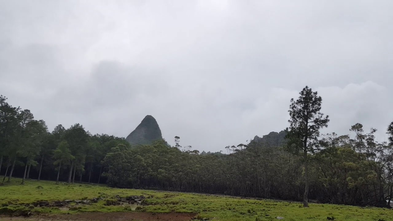 Hiking at Piton du Milieu, Mauritius - YouTube