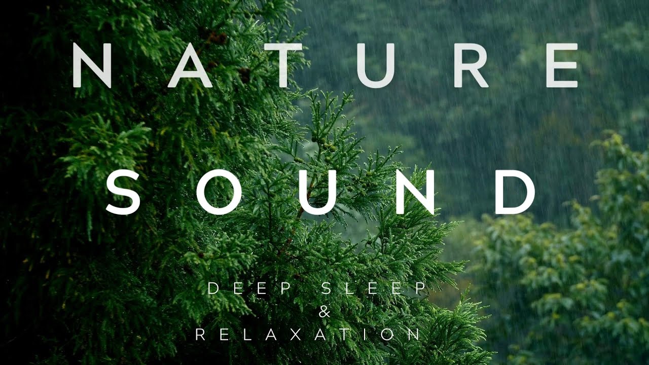 Rain drops sound calming sound. relaxation - YouTube