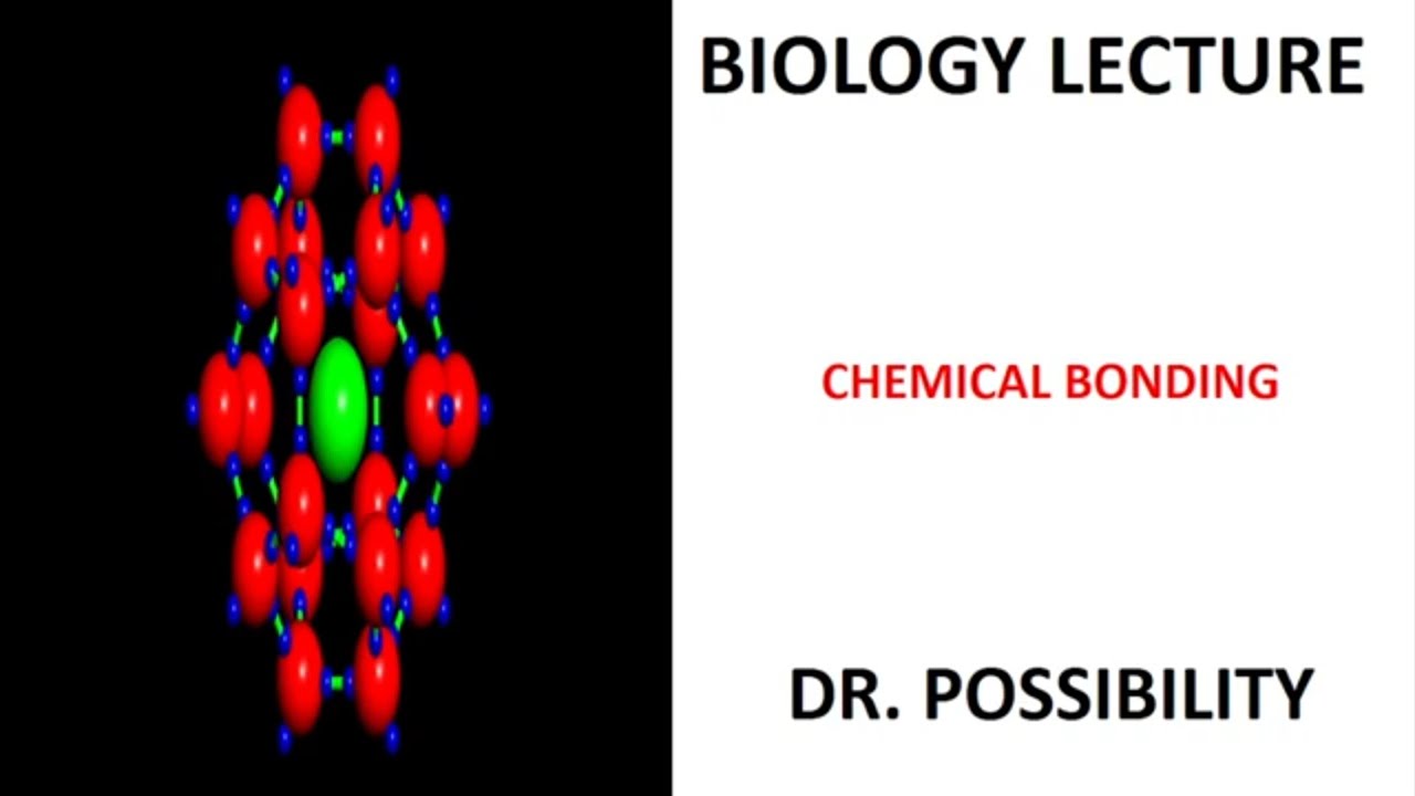 CHEMICAL BONDING - BIOLOGY - YouTube