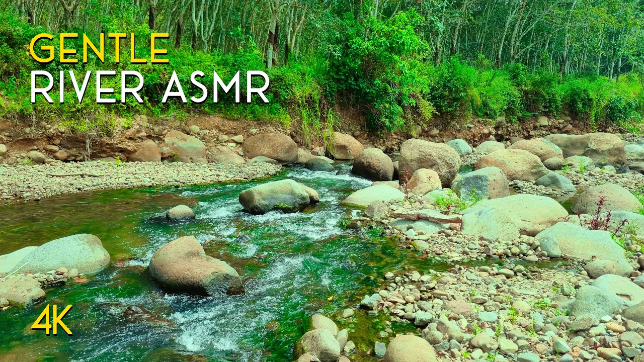 Gentle Flow of Crystal Clear Water of Green Riverbed Retreat: Soothing ...