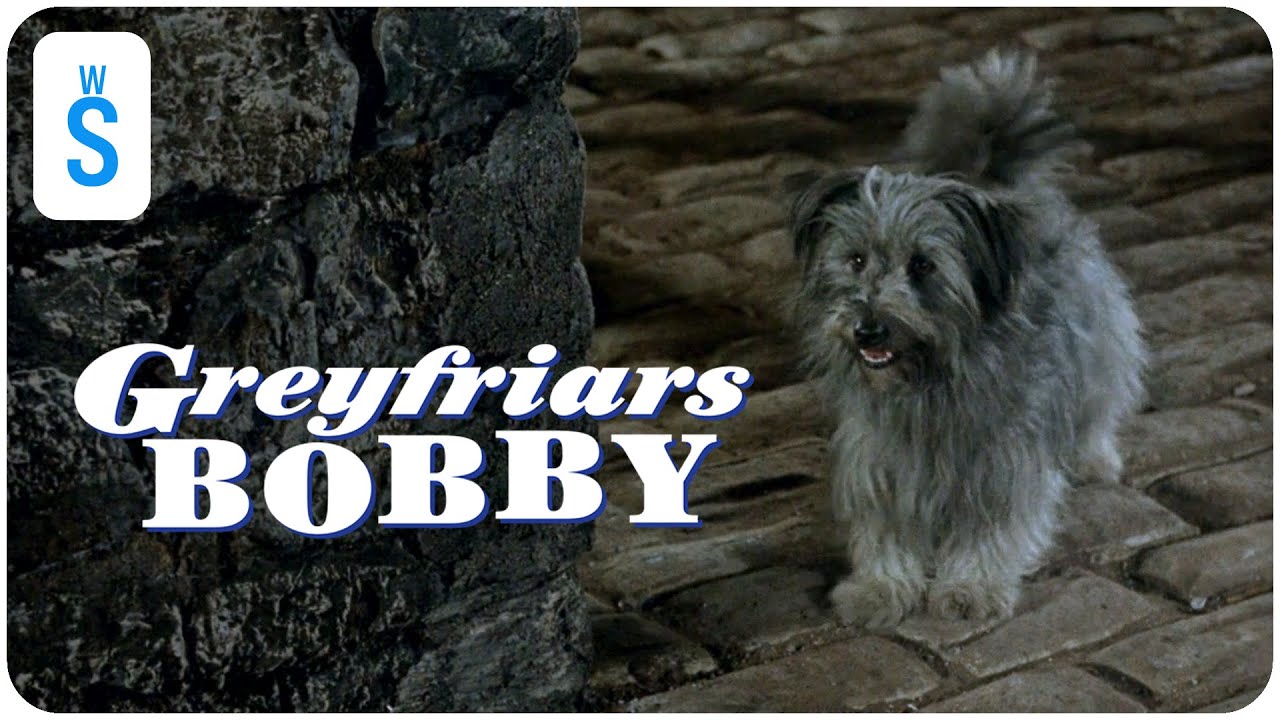 Greyfriars Bobby (1961) | Scene: Bobby always finds his way back to the ...