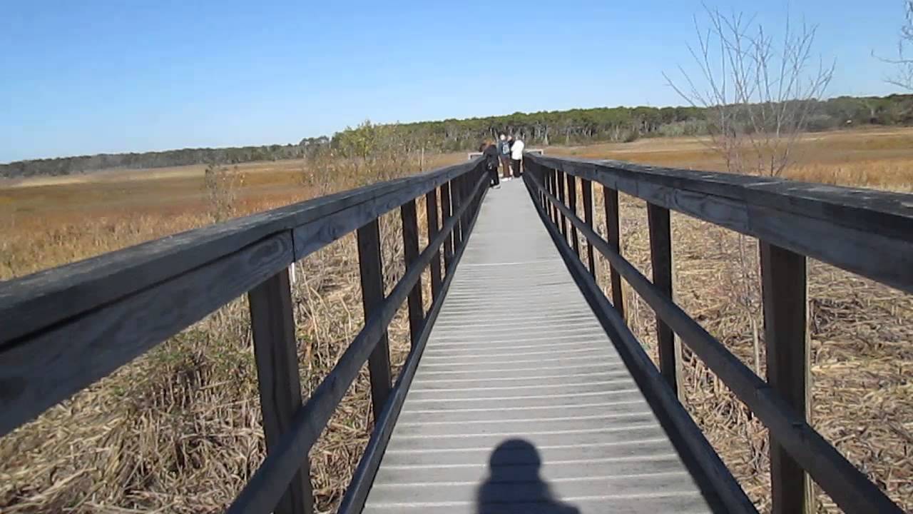 Taylor Bray Farm boardwalk - YouTube