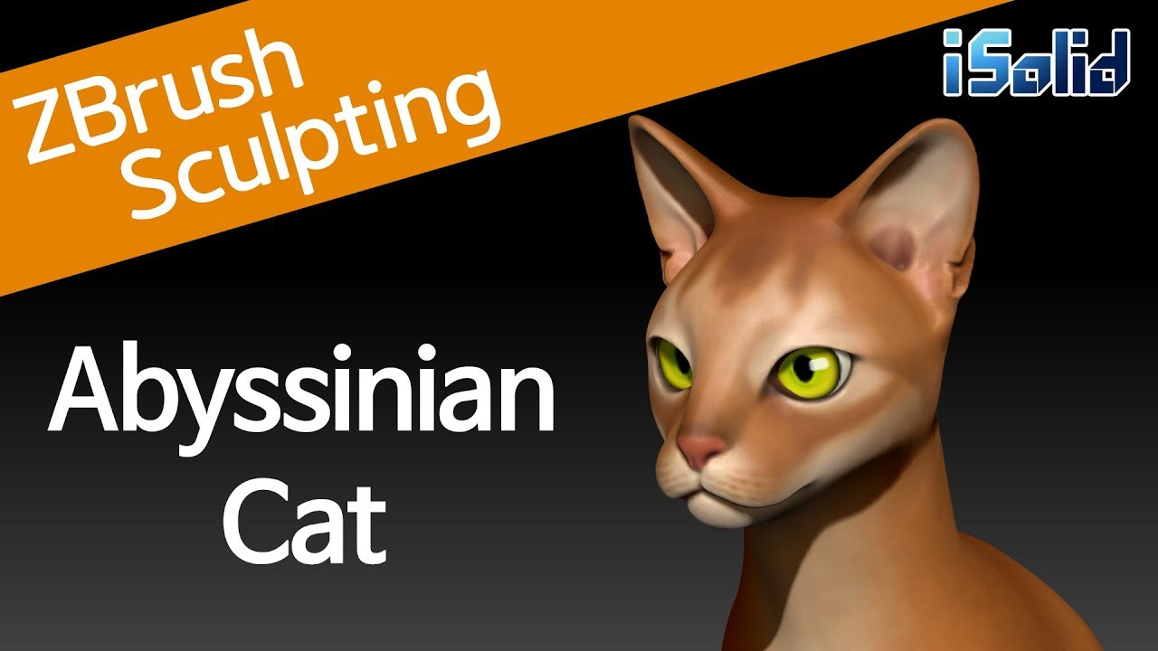 ZBrush Sculpting - Abyssinian Cat - YouTube