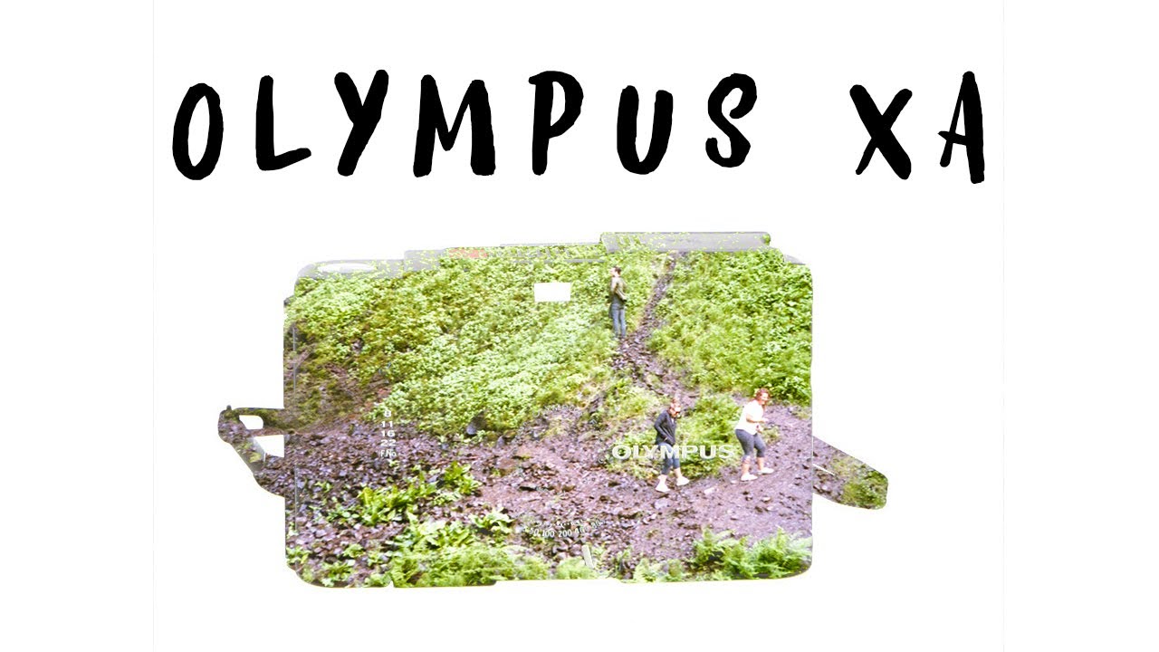 A Short Trip With the Olympus XA
