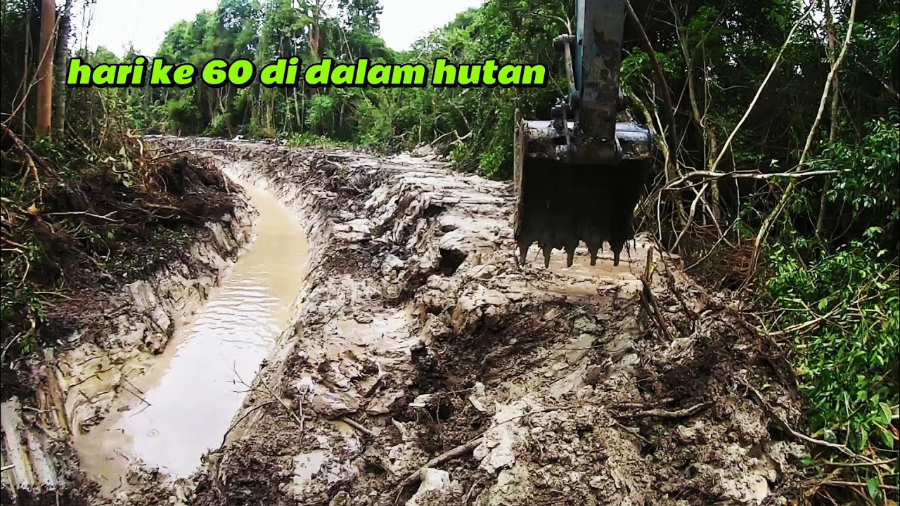 bikin parit di tanah liat membelah hutan belantara - YouTube