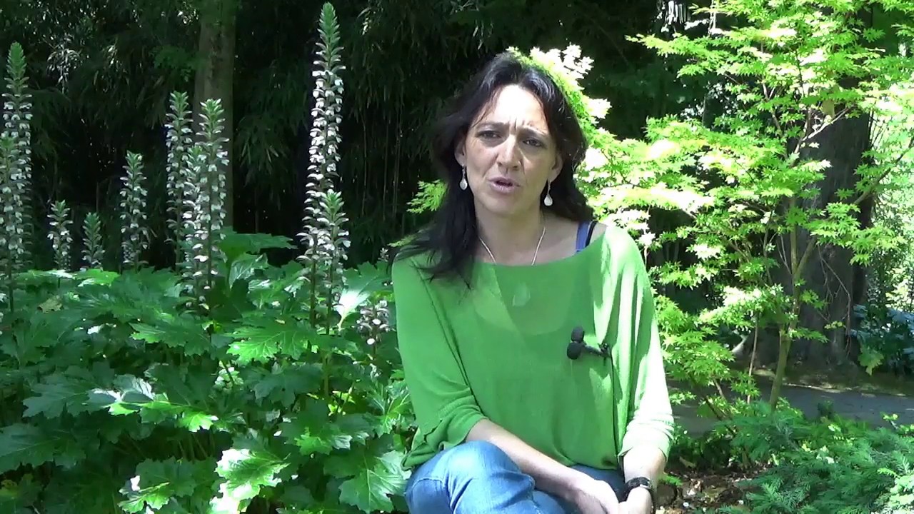 Cristina Monge ECODES - YouTube