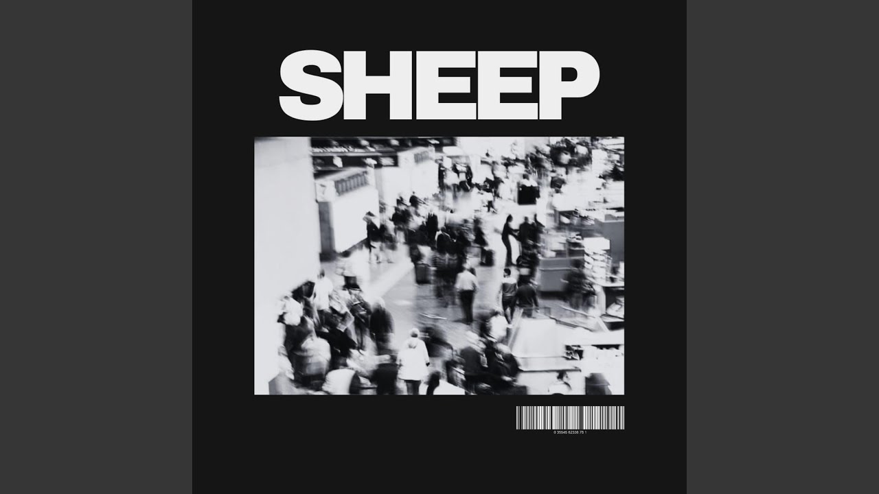 Pig Theory - YouTube