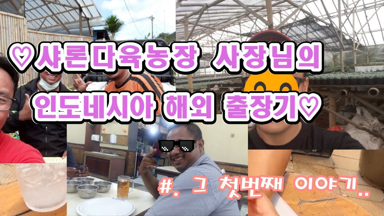 샤론다육농장 사장님의 인도네시아 해외 출장기 그 첫번째 이야기♡ 화성 샤론다육 다육이 묵은둥이 자연군생 판매