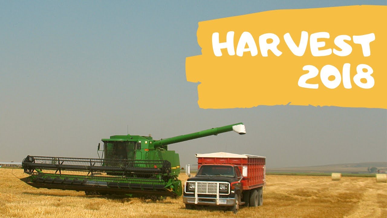 Harvest 2018 - YouTube