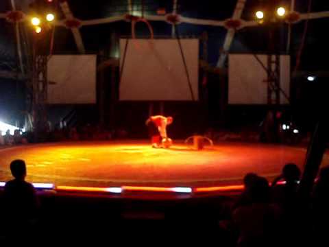 Palhaço Spirro - Marcos Frota Circo Show - YouTube