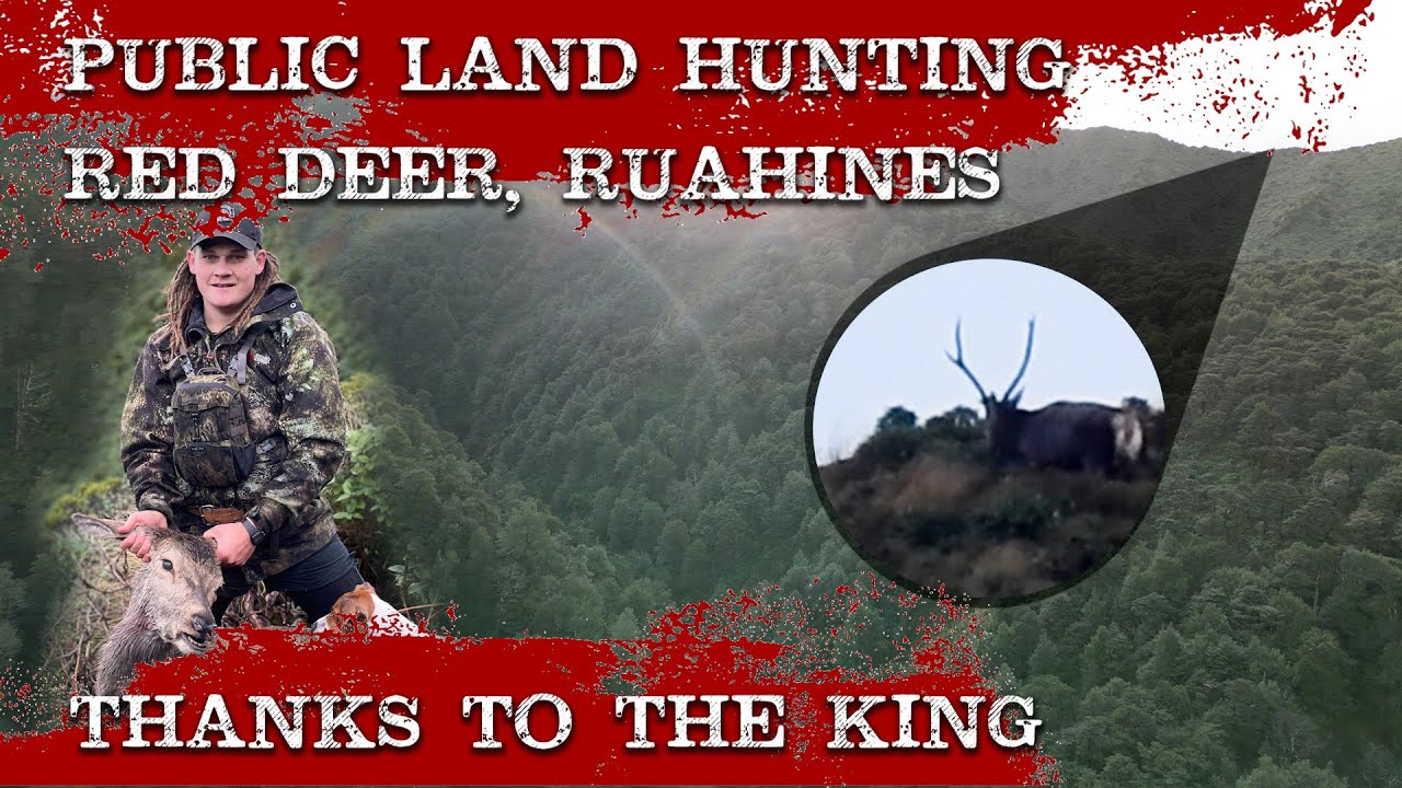 Ruahine public land hunting Red Deer thanks to the King - YouTube