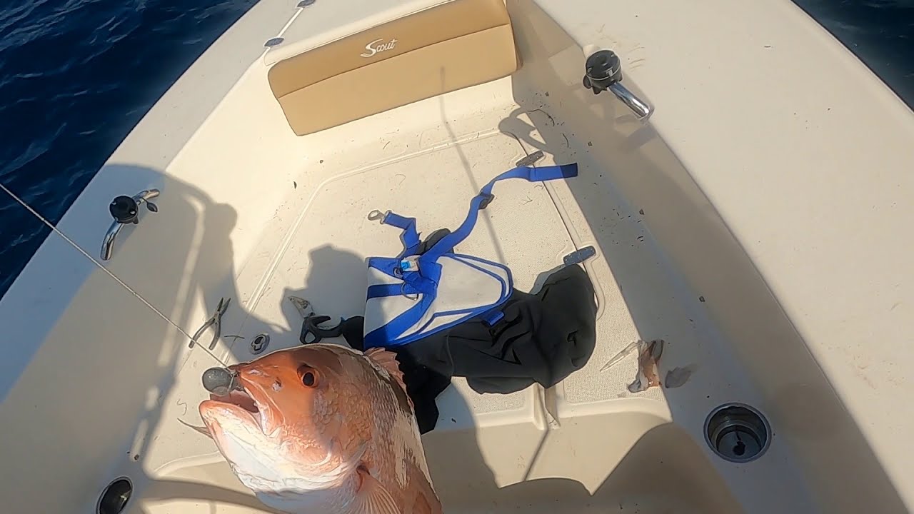 How to use a depth finder to catch Red snapper In the Gulf of Mexico ...