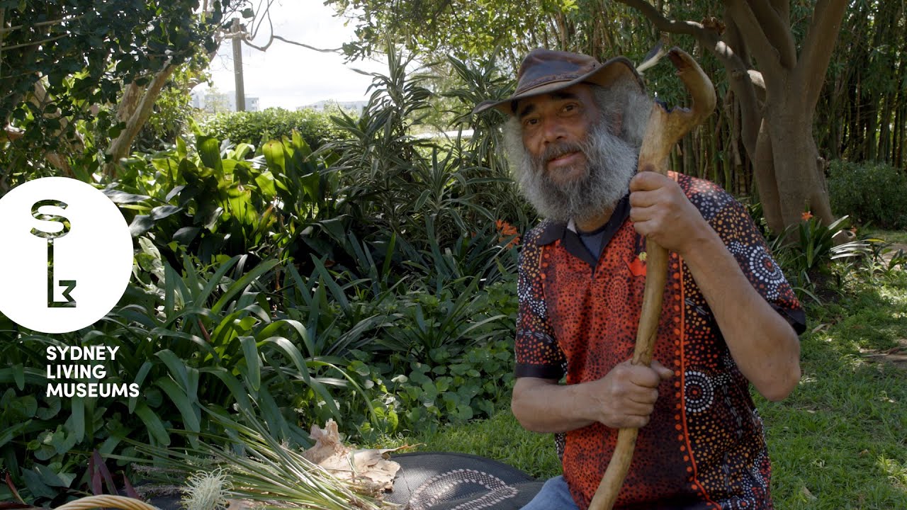 Bush tucker - YouTube