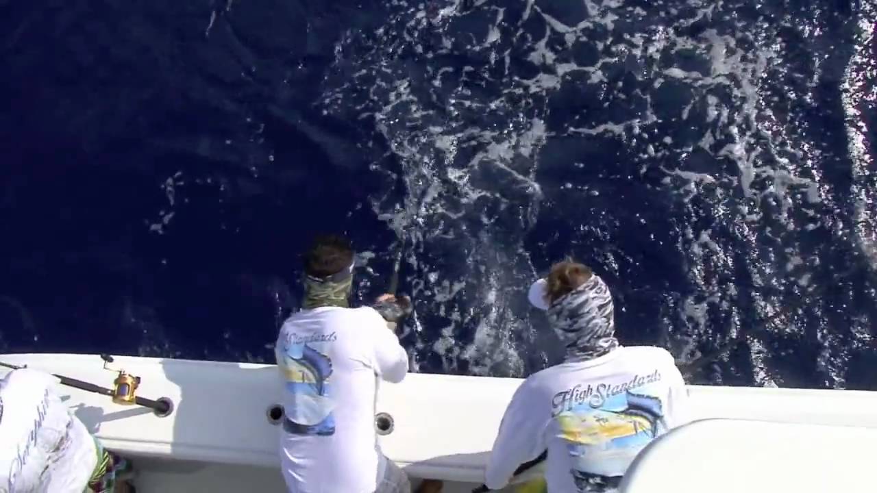 High Standards Fishing Summer - YouTube