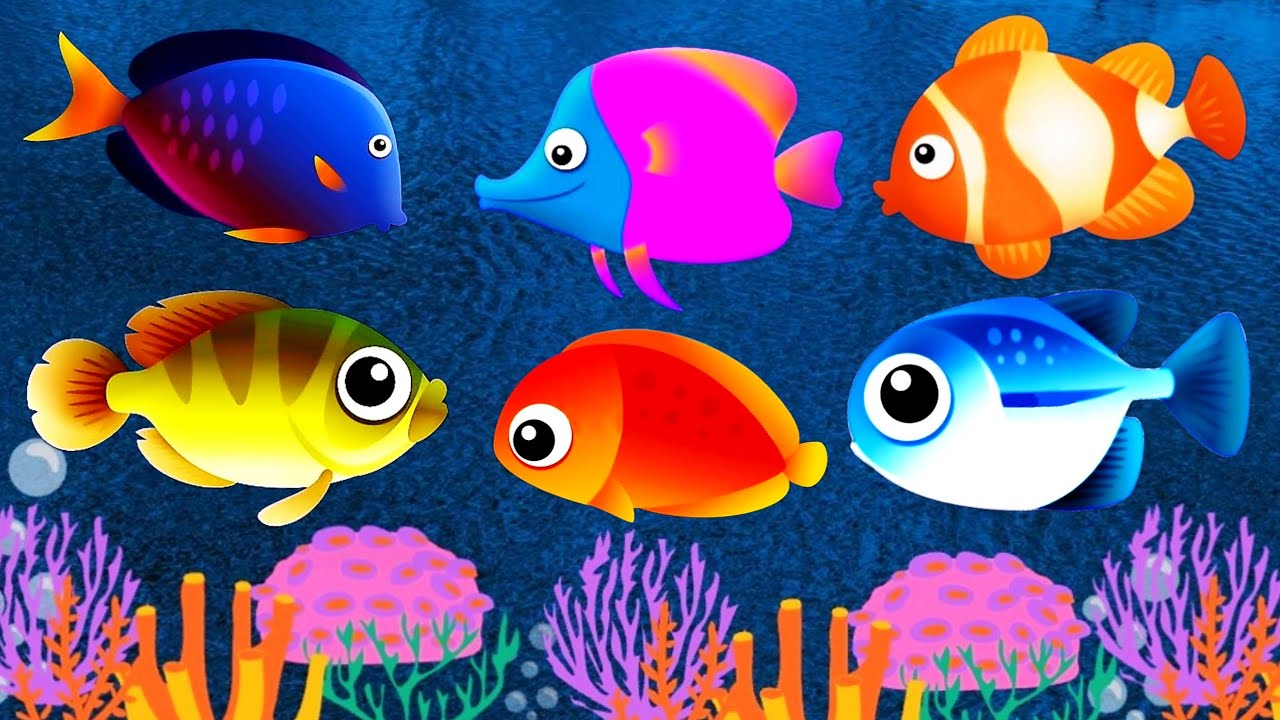 Fish Animation |Fishes| - YouTube
