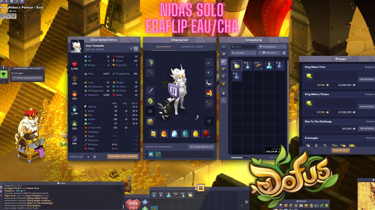 Nidas B4 Solo DOUBLE CHAL Ecaflip Eau/Cha Crit - DOFUS UNITY - YouTube