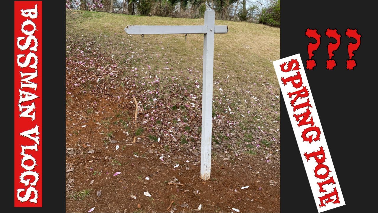 putting up a spring pole for my puppy {american bully} (bluepitbull ...