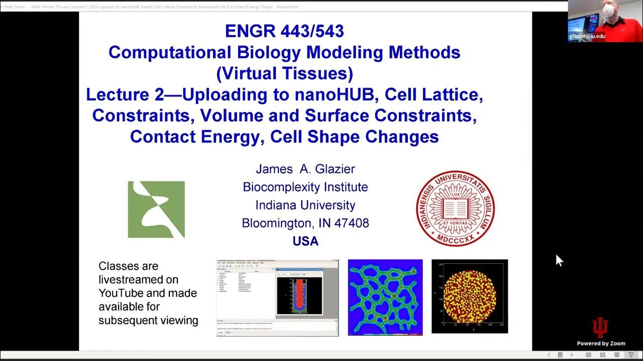 ENG443/543 Multicellular Modeling Lecture 2, Using nanoHUB, Controlling Cell Shape, January 17 ...