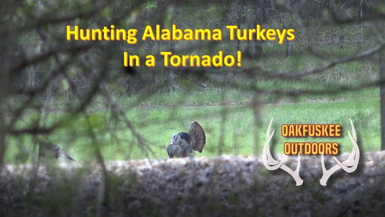 Hunting Turkeys in a Tornado - YouTube