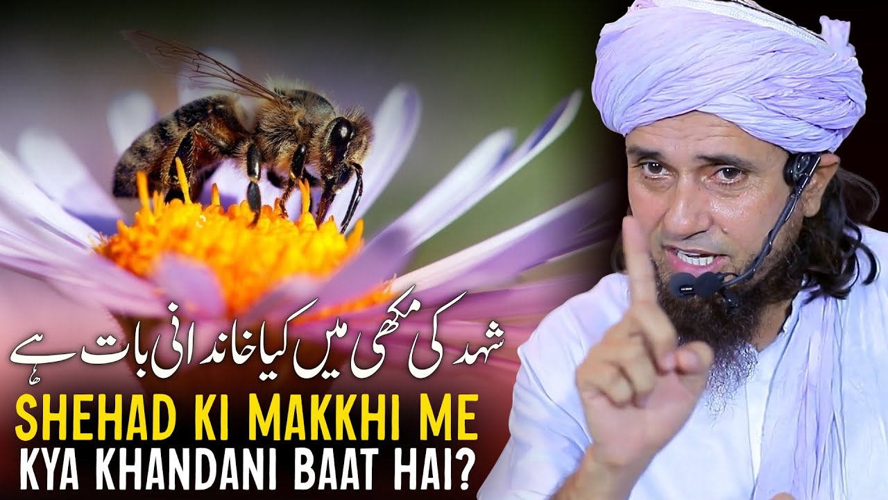 Shehad Ki Makkhi Me Kya Khandani Baat Hai ? | Best Bayan | Mufti Tariq ...