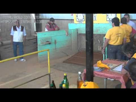 el triunfo campeon de rayuela 2011