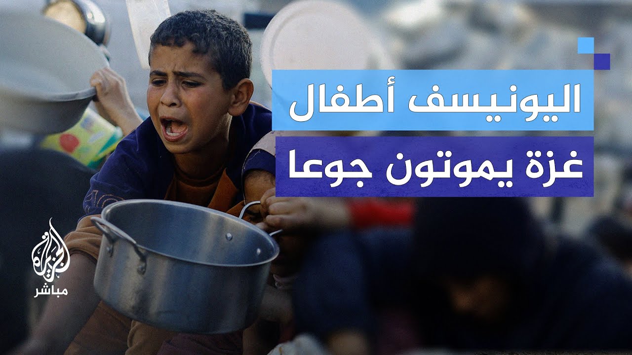 تقارير عن وفاة 23 طفلا بسبب المجاعة المتحدث الإقليمي باسم اليونيسف