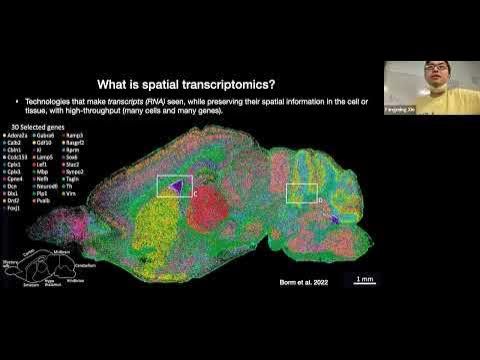 W31: Spatial Transcriptomics – Day 1 - YouTube