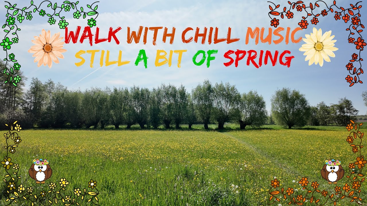 Nature Walk with Chill Music: Still a bit Spring in Münster Nature🏵️ ...