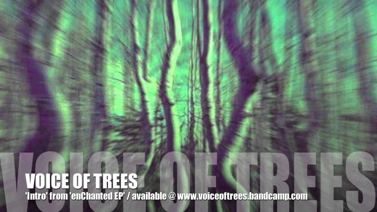 Voice of Trees - Intro [Official Audio] - YouTube