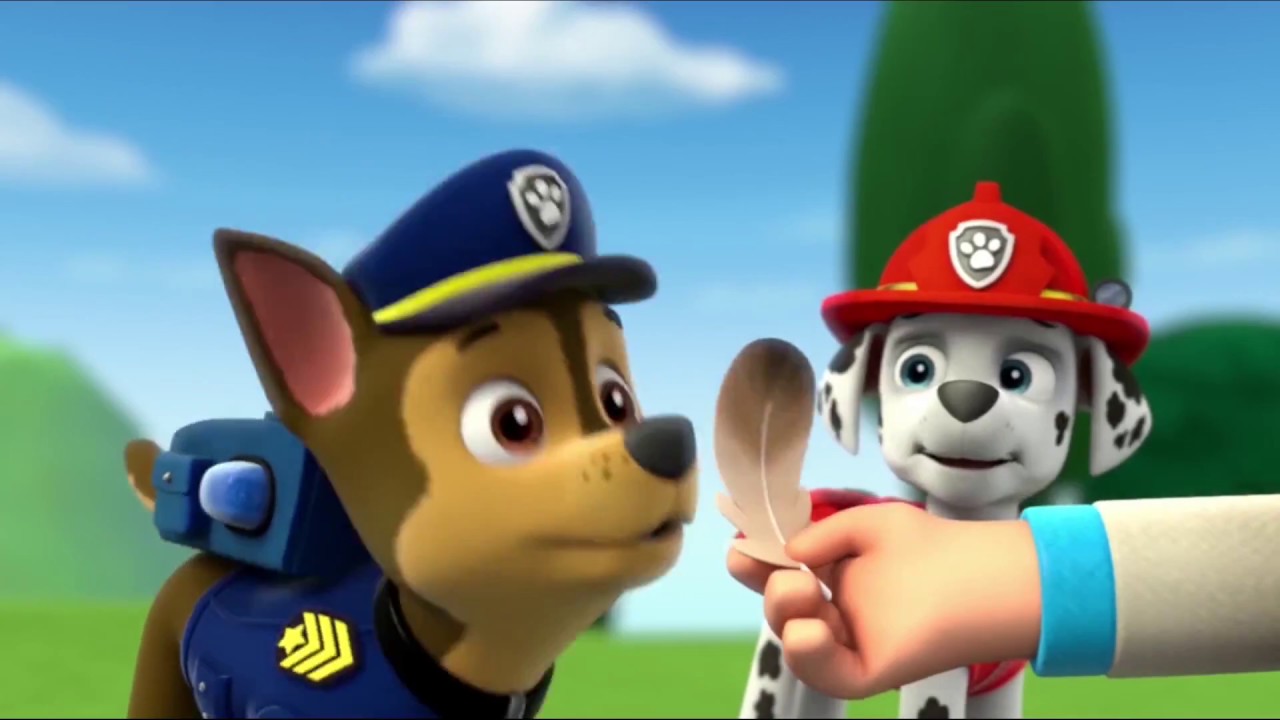 Paw Patrol Full Episodes English - Pups Save a Dolphin - Pups save a ...